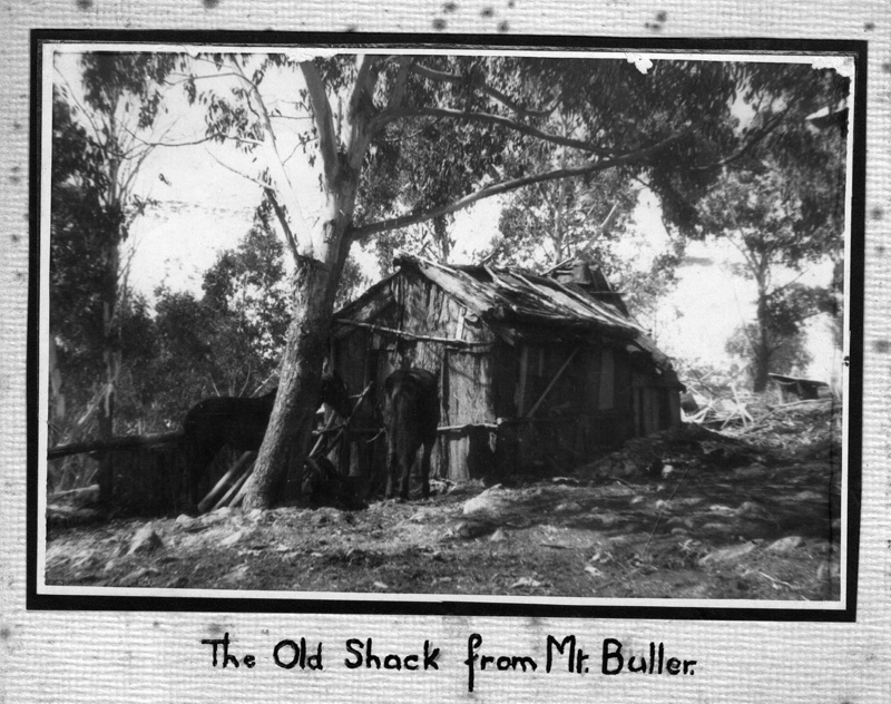 Black and White Photograph - The Old Shack from Mt. Buller; McColl; AP ...