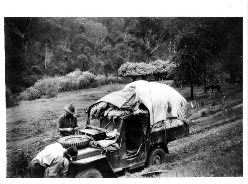A load of Jack Venables wool on David Butlers army Jeep - 1950's ...
