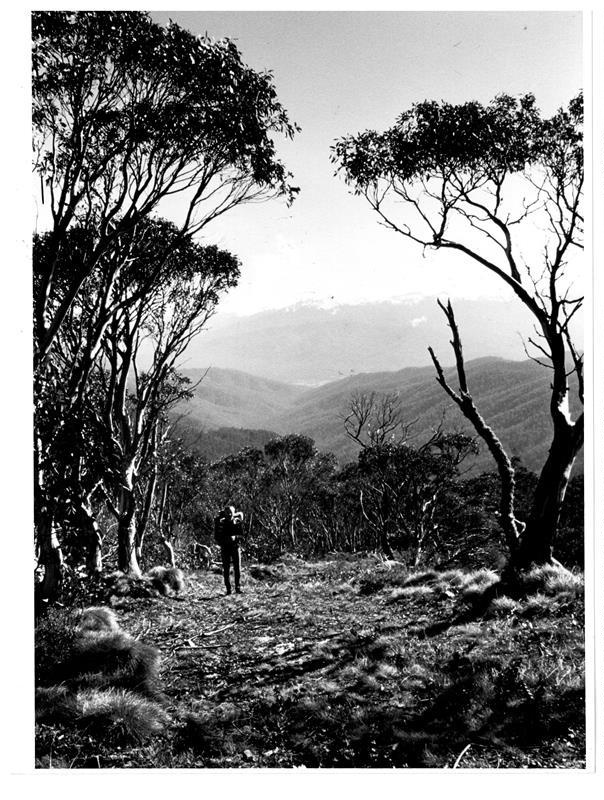 Near mount Gibbo looking back towards Mt. Kosciusko and the Main range ...