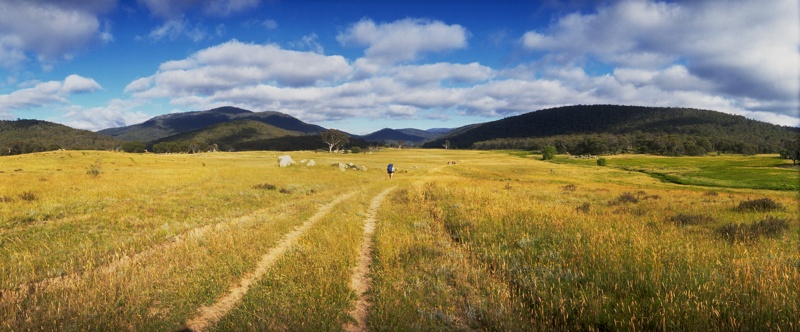 Digital photograph - Hikers walking through open field; Klaus Hueneke ...
