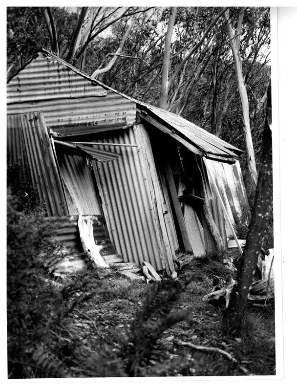 Damm Hut is damned to collapse in the next few Years. Nov, 2001; Klaus ...