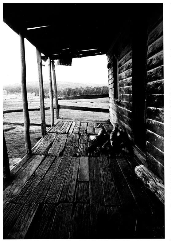 Davey's hut verandah 1979; Klaus Hueneke; AP 000536 | eHive