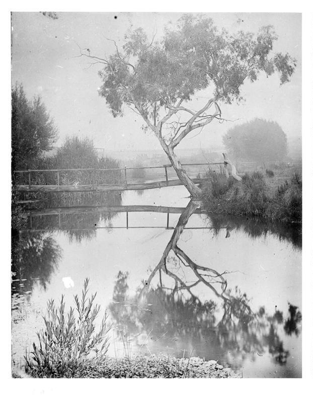 Delegate River near Delegate. (2,500) Dec. 31st.; Klaus Hueneke; AP ...