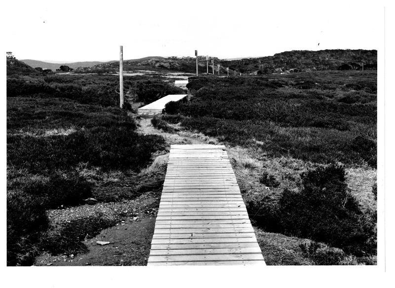 Derrick Hut in 2001 Broadwalk bridges across small creeks on the alpine ...