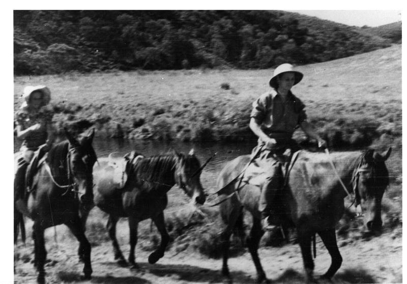 Lila & Ethel Wheeler droving cattle 1940s (Burzacott Coll); Klaus ...