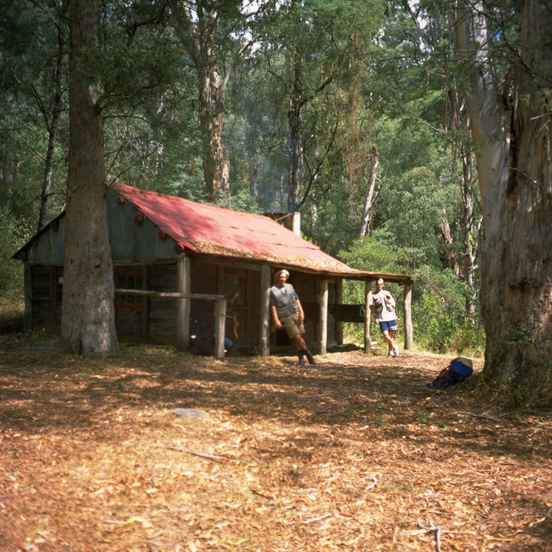 Digital photograph - Bush walkers outside side surrounded by trees ...