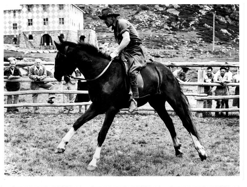Vincent Russell breaking in a horse. Chalet 1947. (Russell Coll); Klaus ...