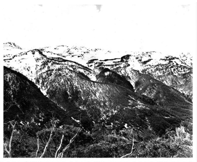 Crackenback Mt. before Thredbo development, in 1955. (Tony Sponar ...