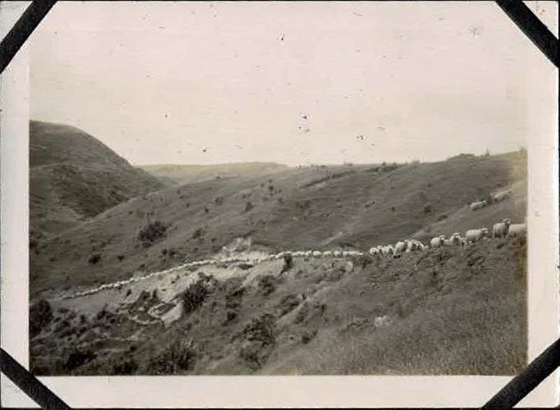 Photo Album, Pioi Station 1945 to 1952; 1987-1.71 | eHive