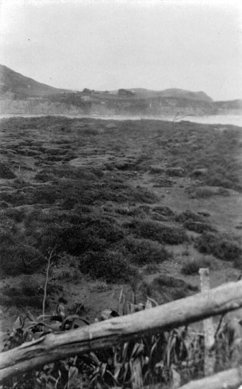 Photo, Mokau Heads before any buildings; 2005/224.115 | eHive