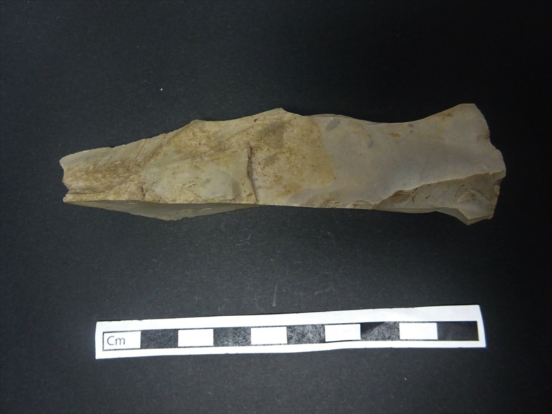 Flint Core; C1141 | eHive