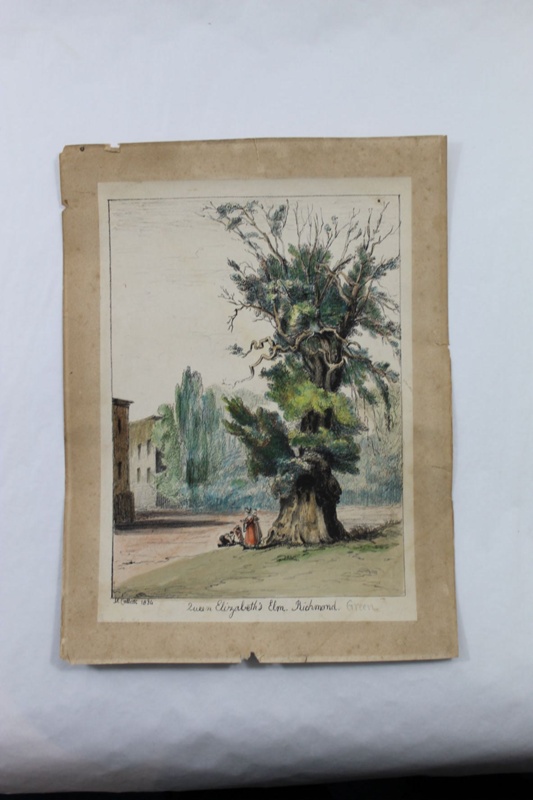 Queen Elizabeth's Elm, Richmond Green; Callcott, M.; 1834; LDMRD 0585.1 ...