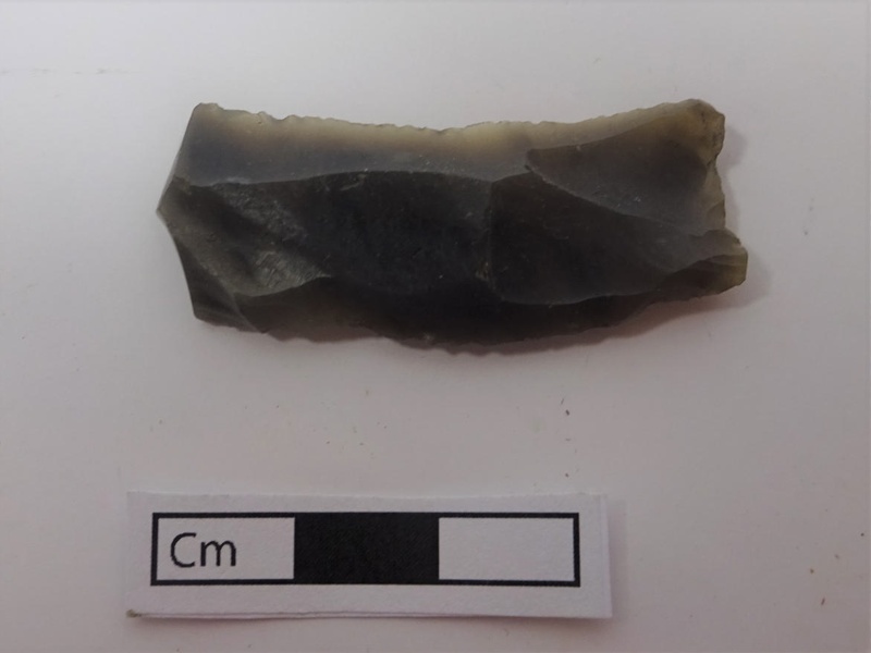 Neolithic flint saw; C1094 | eHive