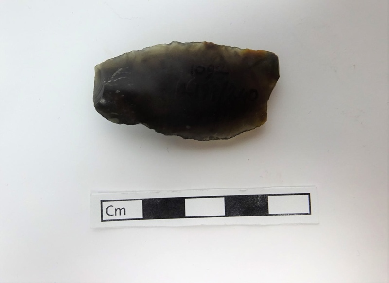 Neolithic Flake; C1092 | eHive
