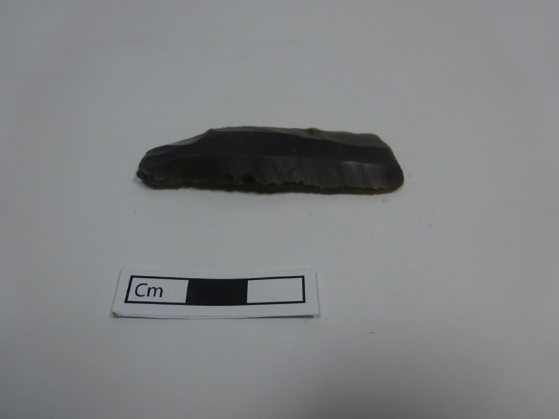 Neolithic flint saw; C1093 | eHive