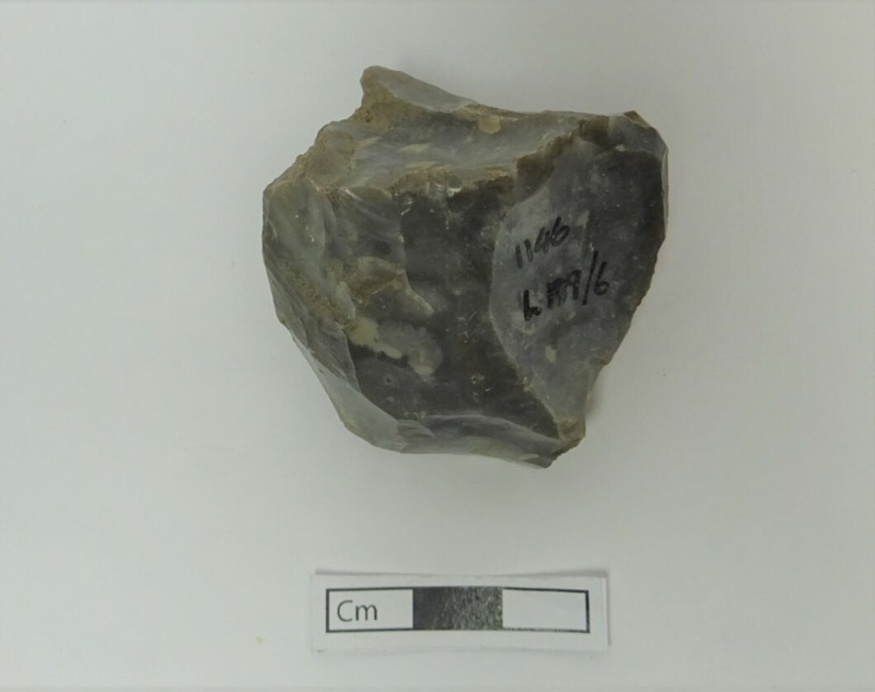 Flint Core; C1146 | eHive