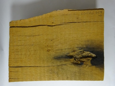 Shrapnel embedded in wood; LDMRD 0367.2 | eHive