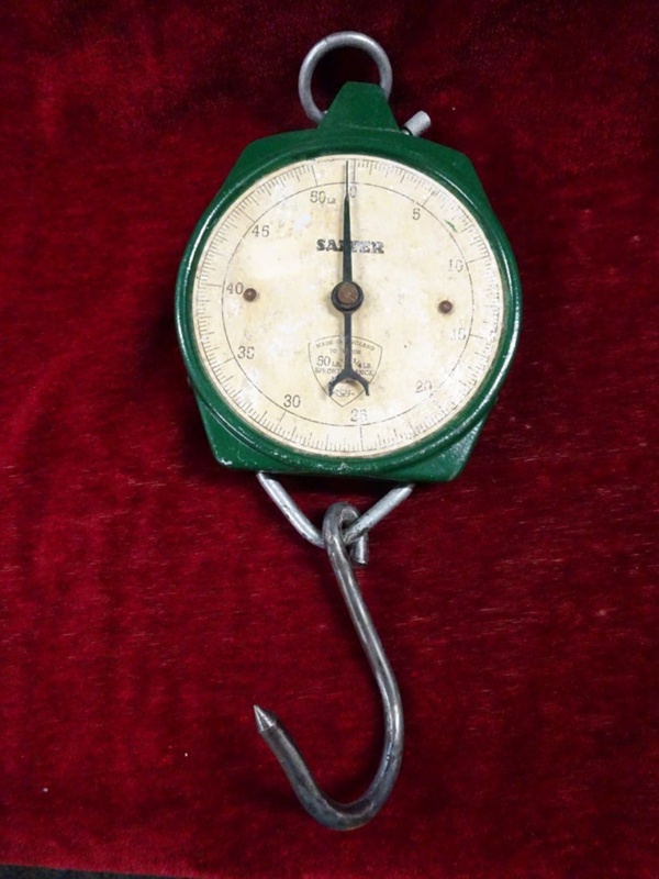 Salter Spring Balance Scale.; Salter; 2024-20-40 | eHive