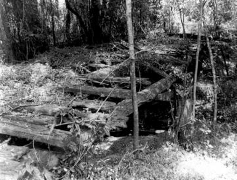Photo - Old bridge across North Maroochy River on old Main Camp Road ...