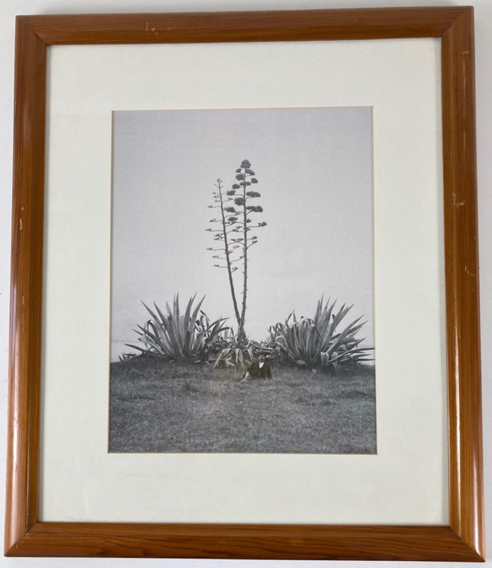 Supposed site of Forby Sutherland's grave, with Trust member, Mr Dacey ...