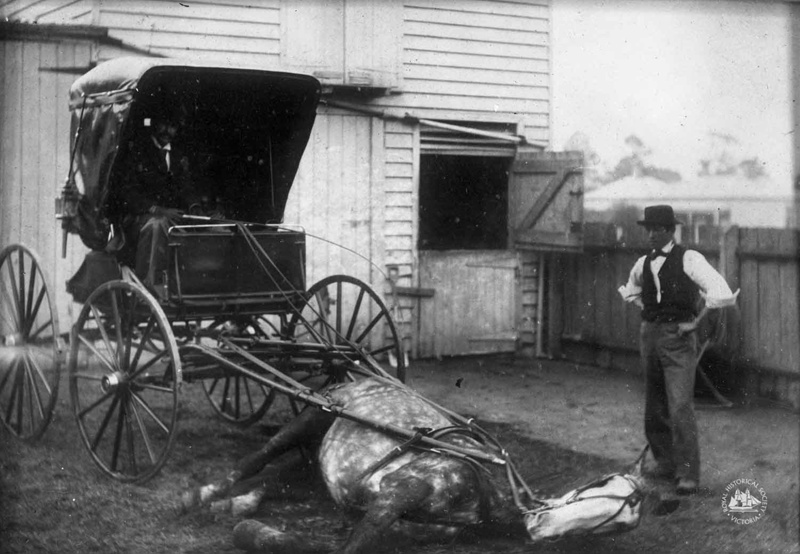 Macpherson Robertson with horse and carriage; GN-MAC-141 | eHive