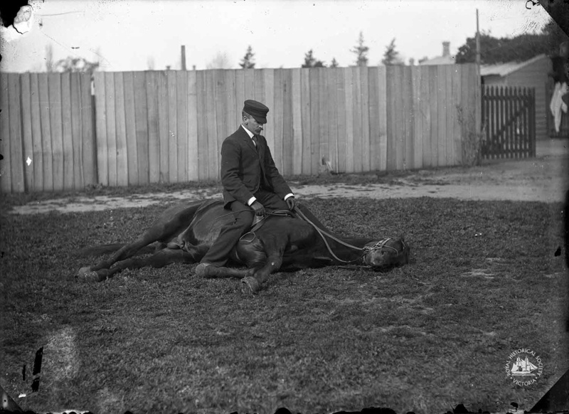 Macpherson Robertson and horse; GN-MAC-142 | eHive