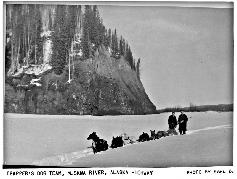 Trapper dog team on Muskwa River; Earl Bartlett; FNPL2015.019.040 REF ...