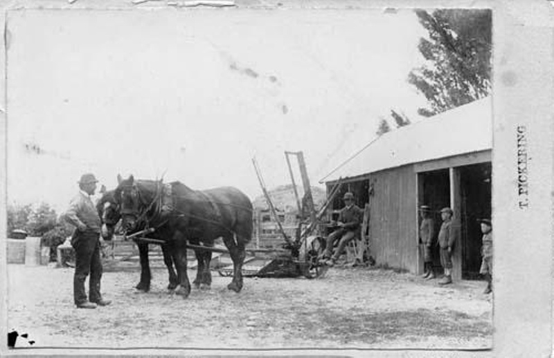 Greenwood Farm, Arthur, Thomas Henry, Arthur Charles, Herbert John ...
