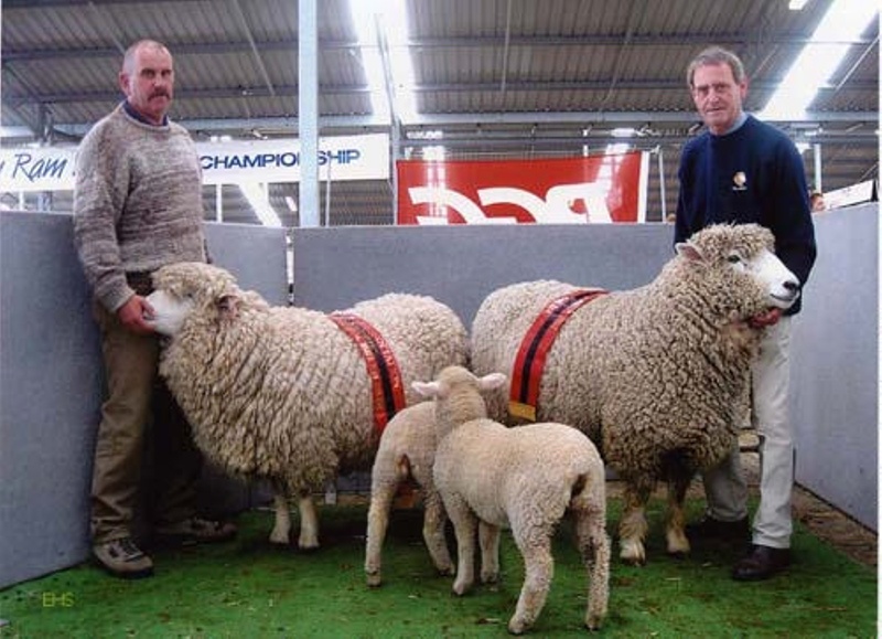 Canterbury A&P Show, Wool Breeds Pairs Award LHS Neville Greenwood ...
