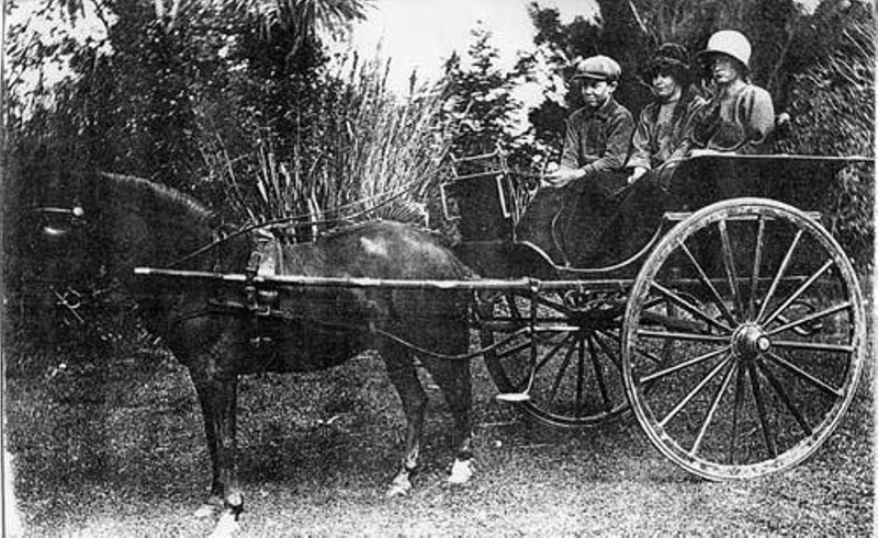 1920s Southbridge DHS Ambrose Murphy, Patricia Murphy, Nancy Pollock ...