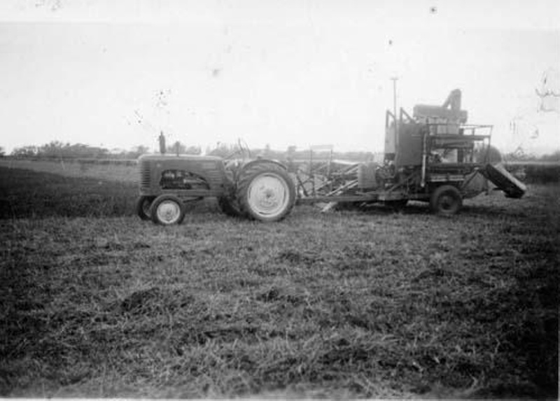 1940s 'Broadacres' Farm Brookside Evaluating Massey Harris gear clipper ...