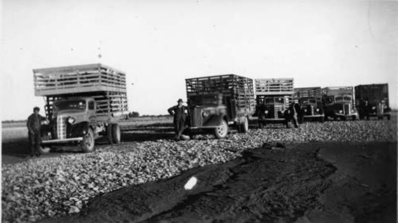 Ellesmere Transport, ex James Simpson; EHS-1949 | eHive