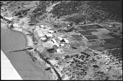 Aerial view of unidentified agricultural plots 1 : general Australian ...