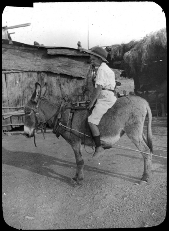 Child sitting on a donkey : taken on a survey trip undertaken in 1927 ...
