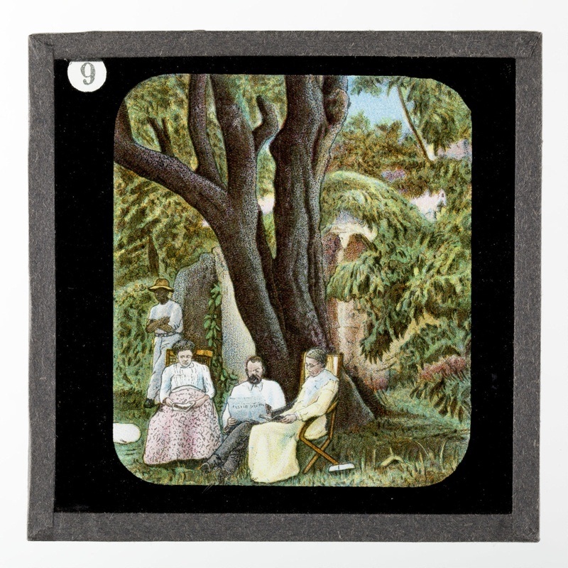 Lantern Slide - Almond Tree at Kuruman, Life & Work of Dr David ...