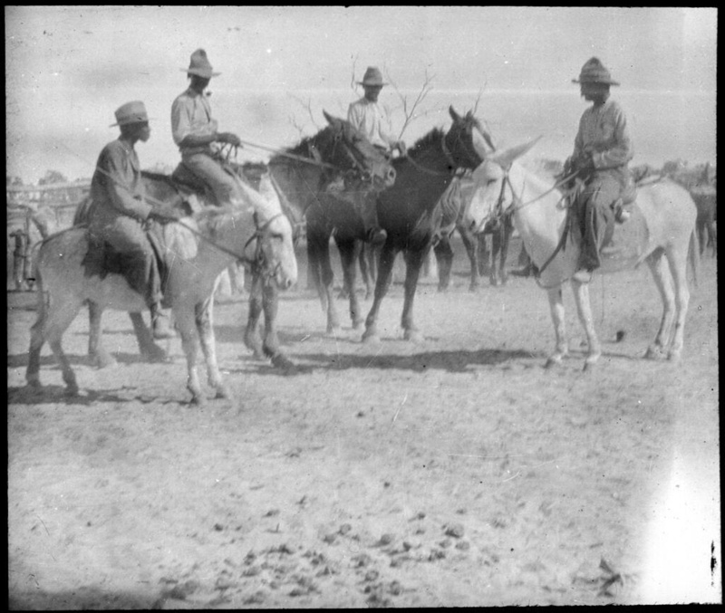 Men on horses and donkeys : scenes in the Diamantina area and other ...