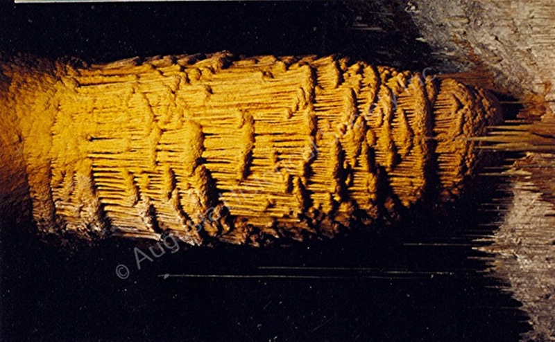 Column in Moondyne Cave; 1979; P89-15 | eHive
