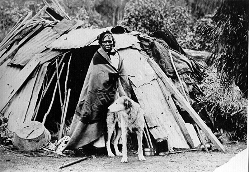 Humpy, Aboriginal; P80 - 38 | eHive