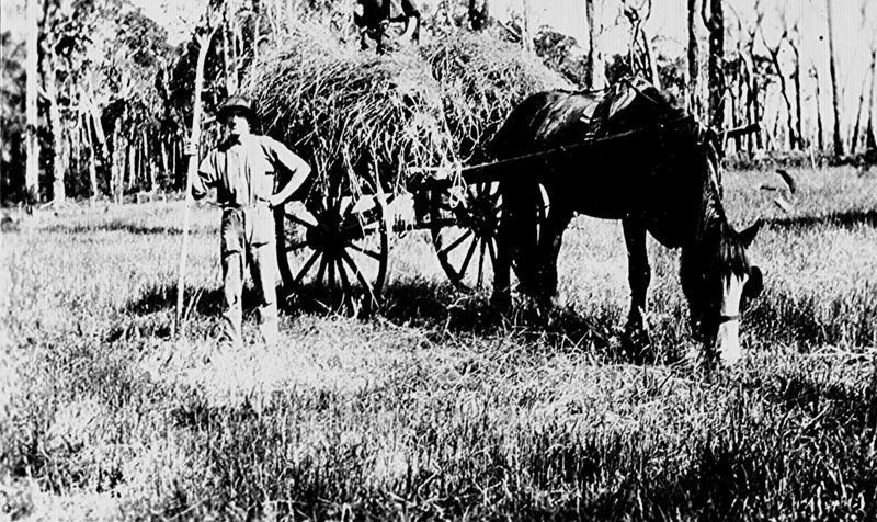 Loading Hay on Cart; William McLean; 1926; P82 - 62 | eHive