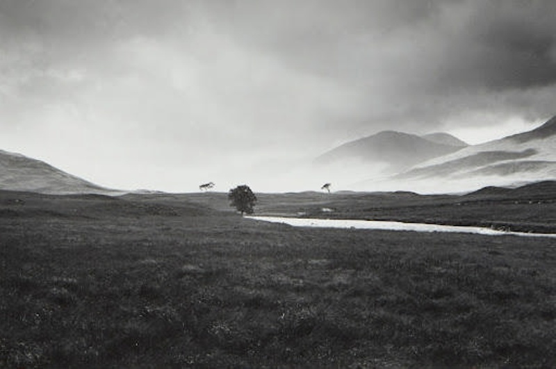 Four Trees, Rannoch Moor; GODWIN Fay; 1981; 2021-10 | eHive