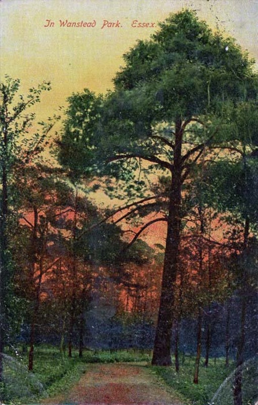 Postcard: "In Wanstead Park, Essex"; ARN0227 | eHive