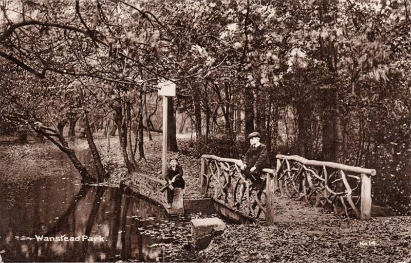 Postcard: "Wanstead Park"; ARN0253 | eHive