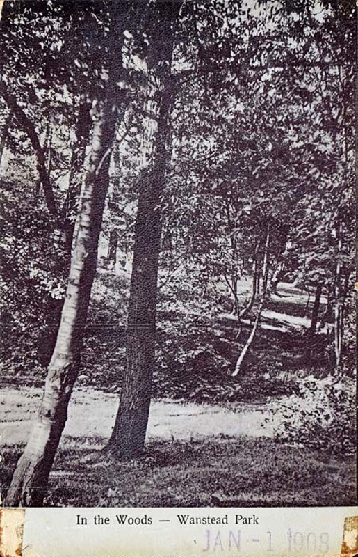 Postcard: "In the Woods - Wanstead Park"; ARN0226 | eHive