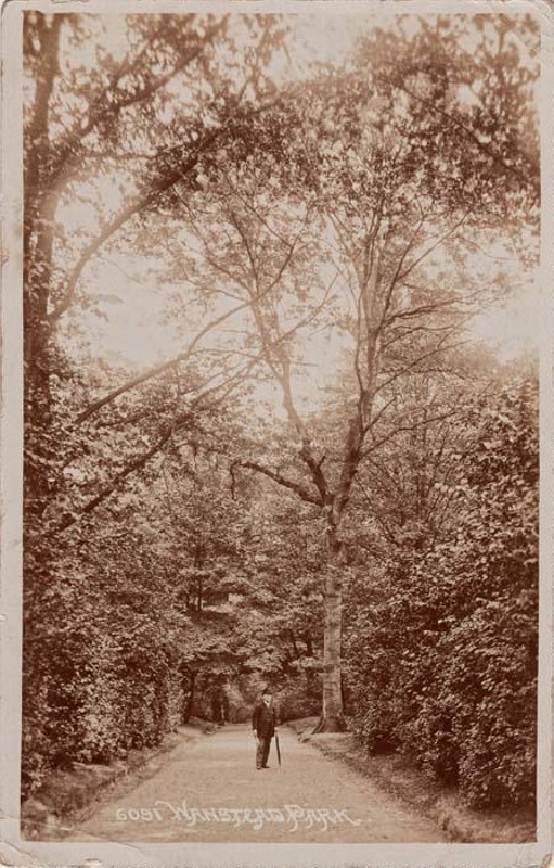 Postcard: "Wanstead Park"; ARN0314 | eHive