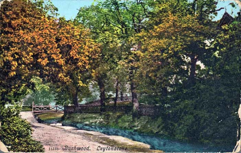 Postcard: "Bushwood, Leytonstone"; ARN0372 | eHive
