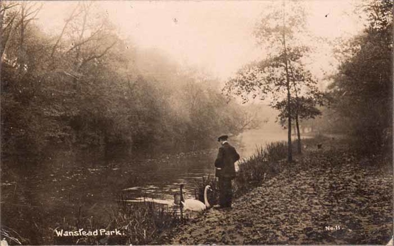 Postcard: "Wanstead Park"; ARN0406 | eHive