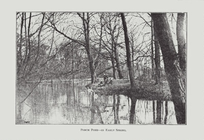 Book illustration: "Perch Pond, in early Spring"; ARN0140 | eHive