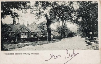 Postcard: "The Forest Keeper's Cottage, Bushwood"; ARN0001 | eHive