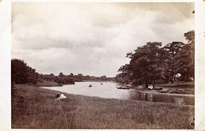 Postcard: "Wanstead Park"; ARN0240 | eHive