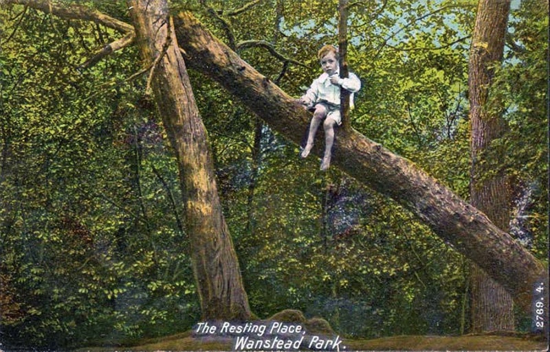 Postcard: "The Resting Place, Wanstead Park"; ARN0225 | eHive